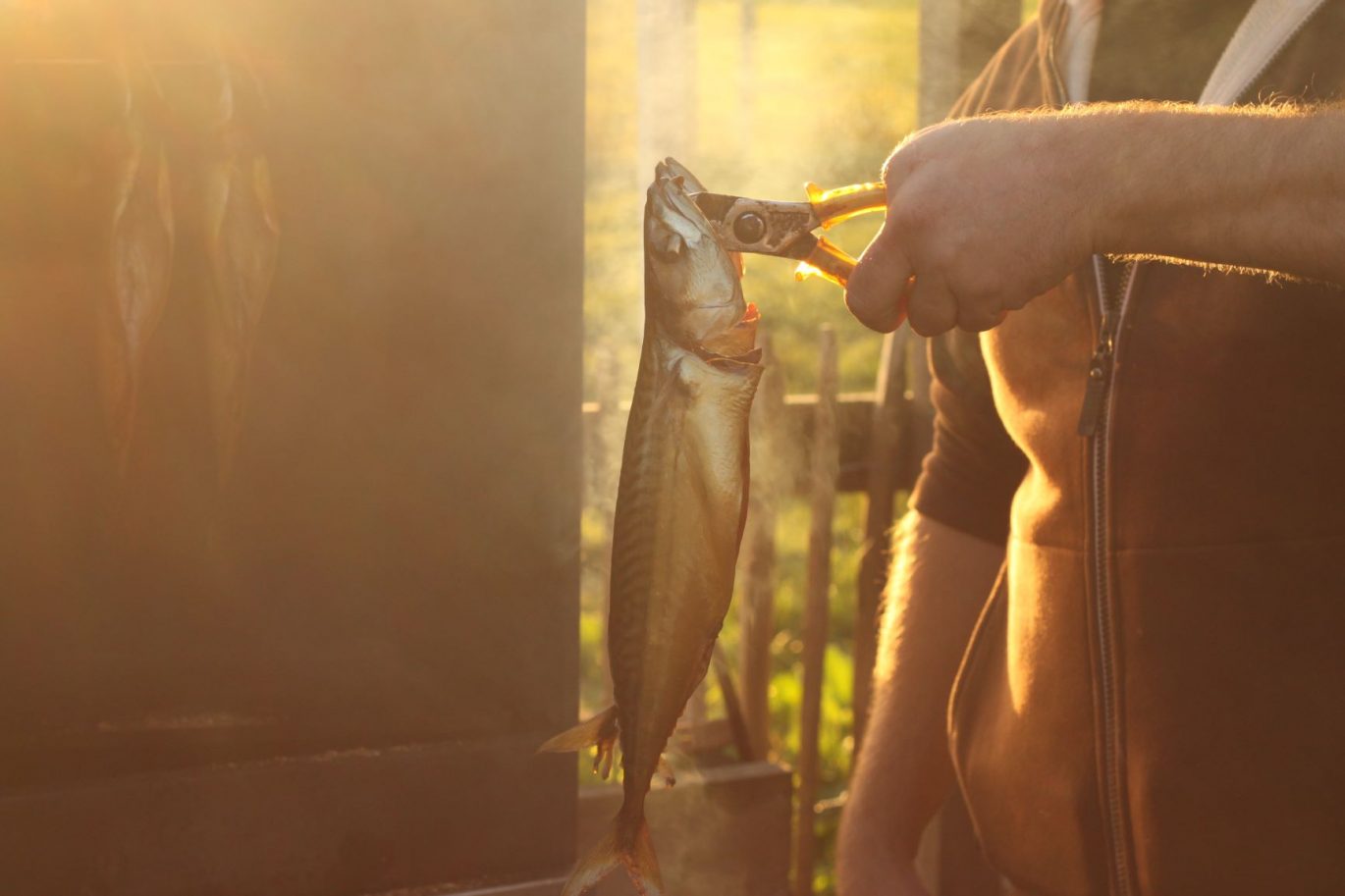 Workshop warm en koud roken – Wateetons