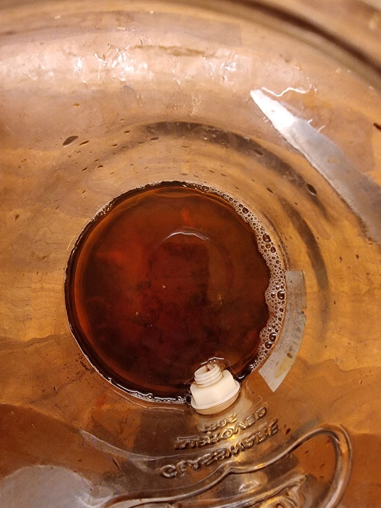 Kombucha reanimatie. Kun je een verwaarloosde SCOBY tot leven wekken ...